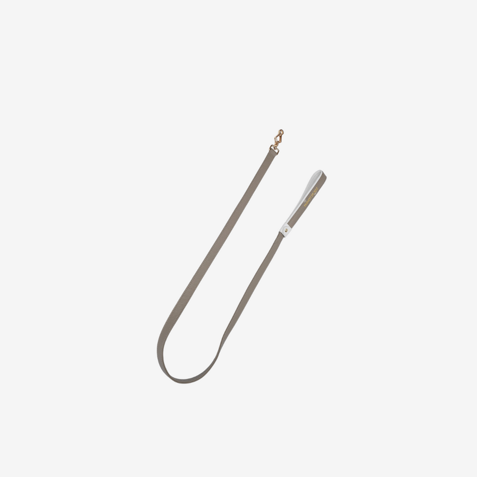 Pets Collar & Leash (Grey) – KLASSE14