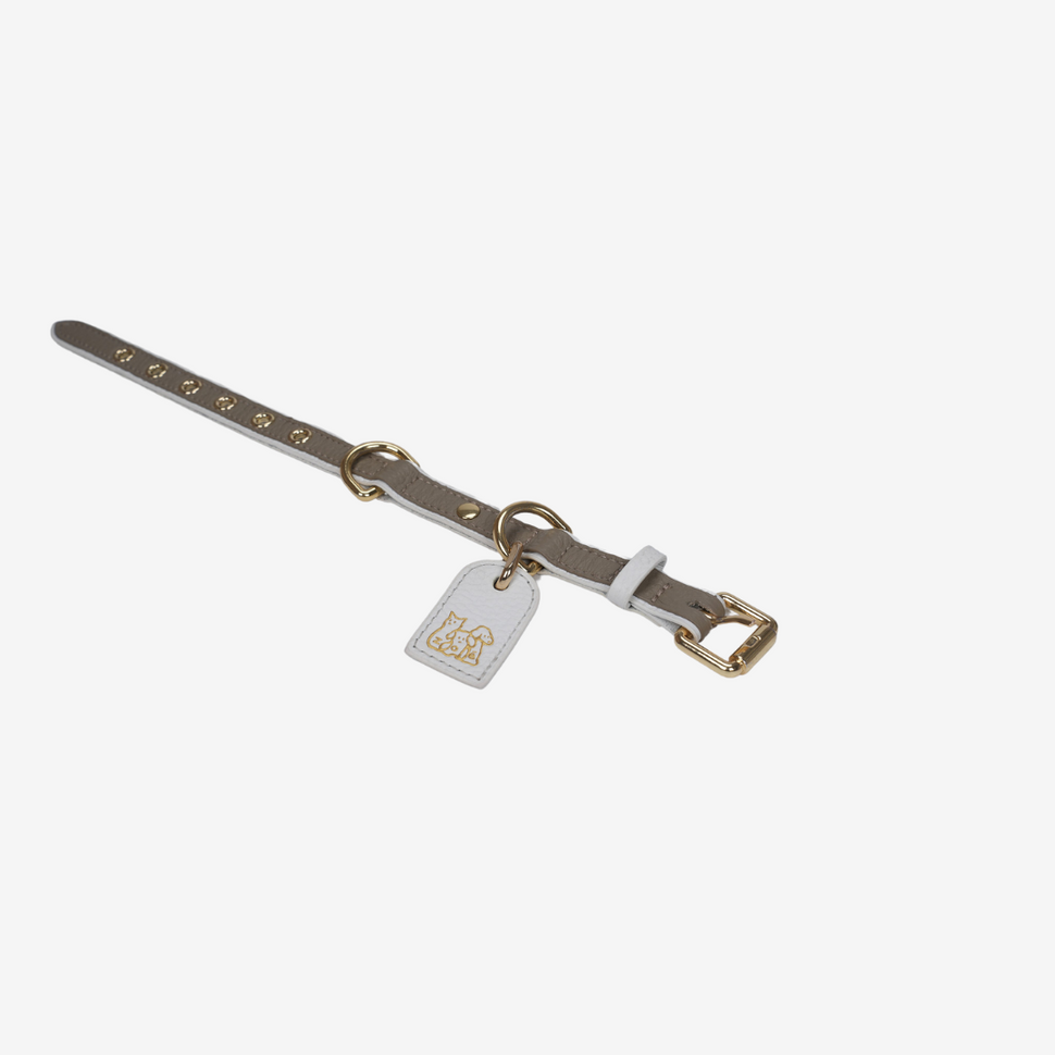 Pets Collar & Leash (Grey) – KLASSE14